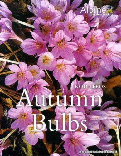 Pre-Owned Autumn Bulbs Hardcover - Walmart.com