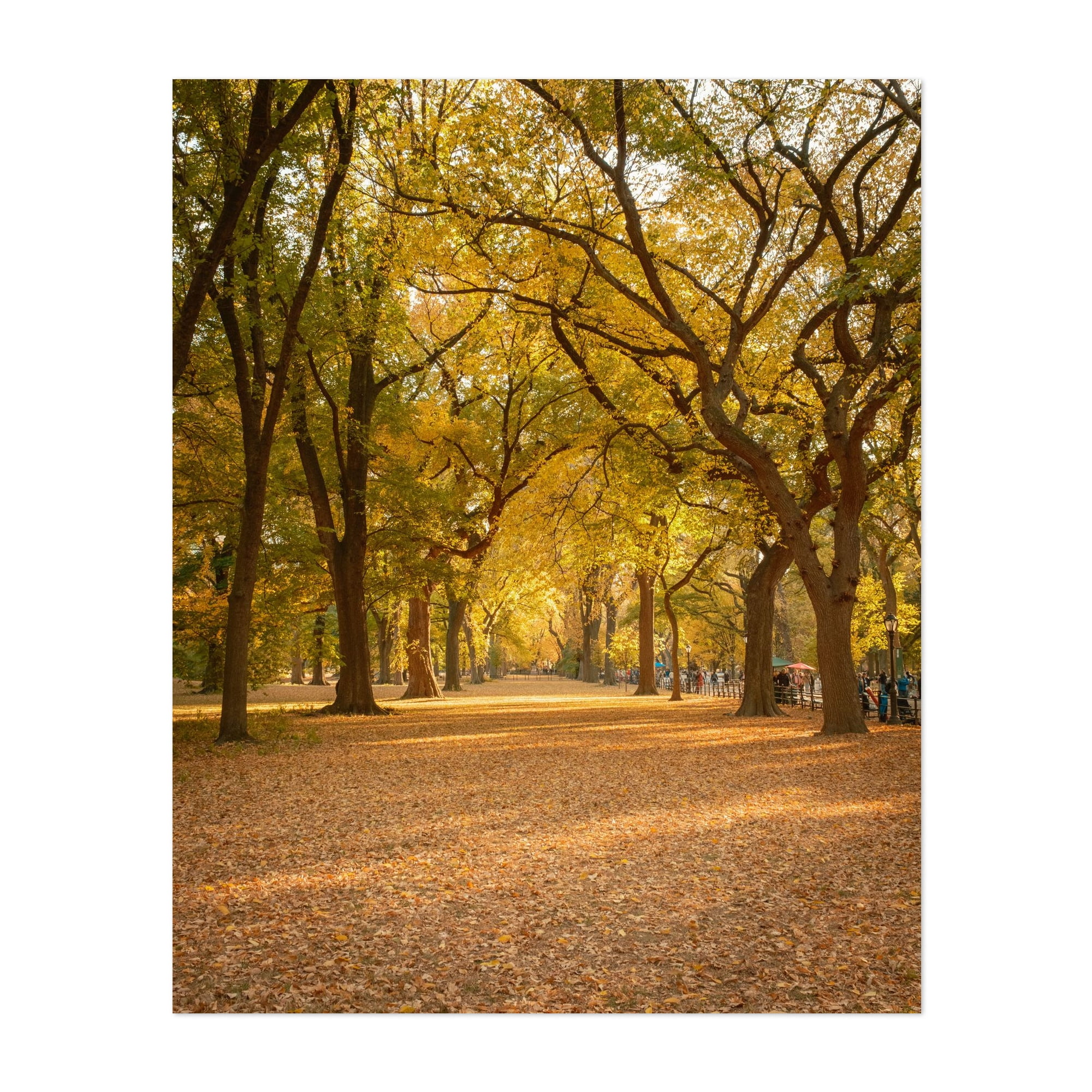 Autumn in Central Park, New York 01 - Manhattan New York Photography ...
