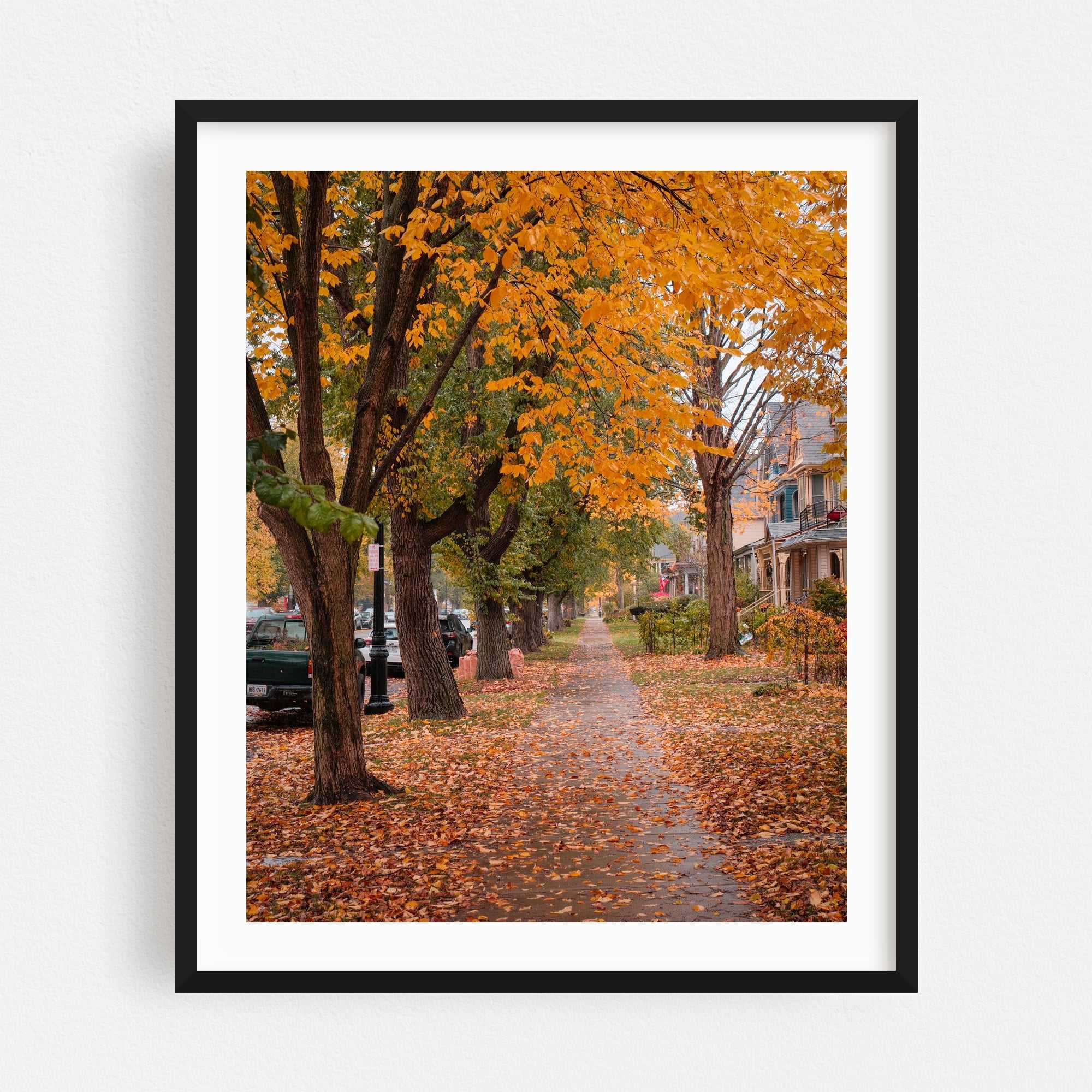 Autumn Color on Richmond, Buffalo 02 - Buffalo New York Photography ...
