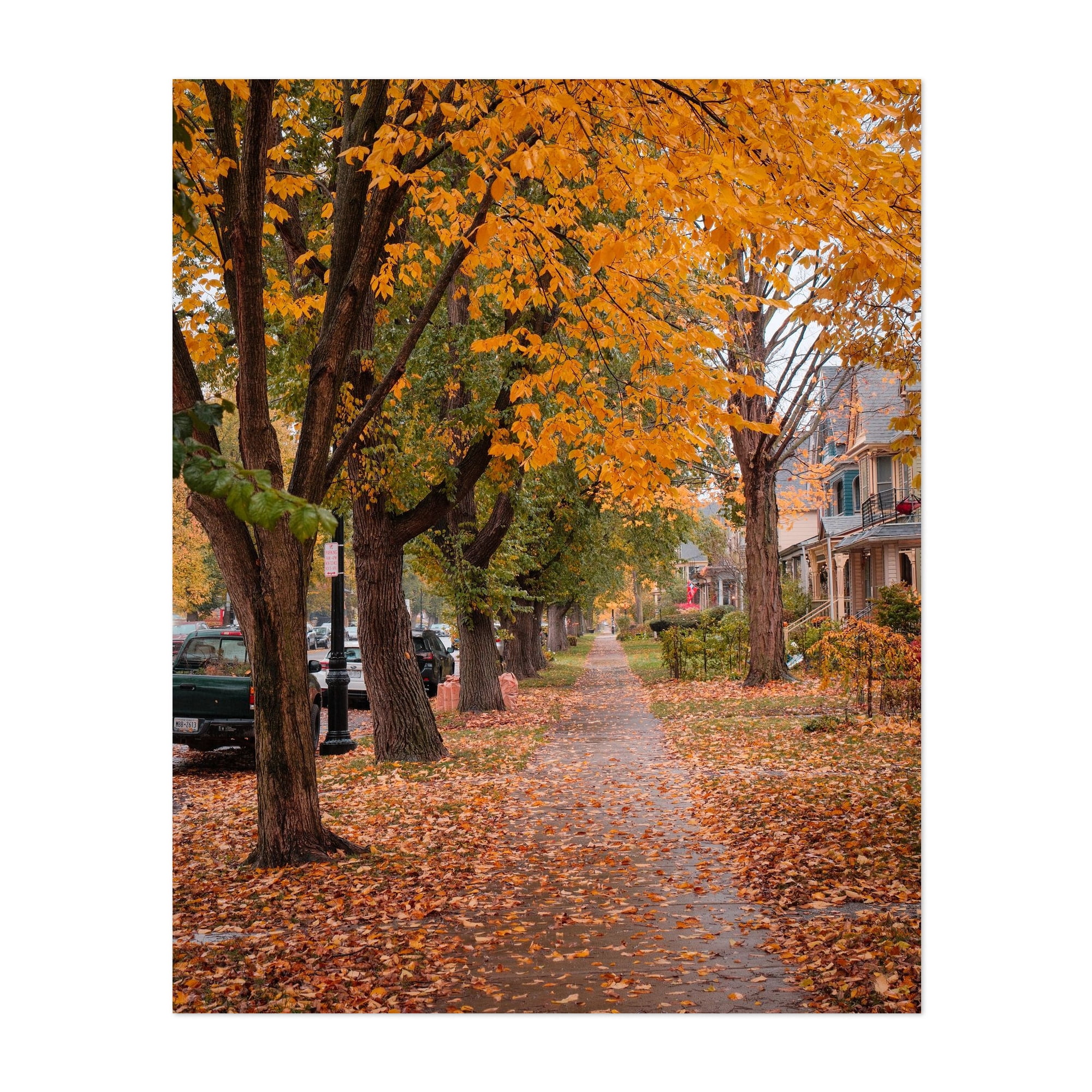 Autumn Color on Richmond, Buffalo 02 - Buffalo New York Photography ...