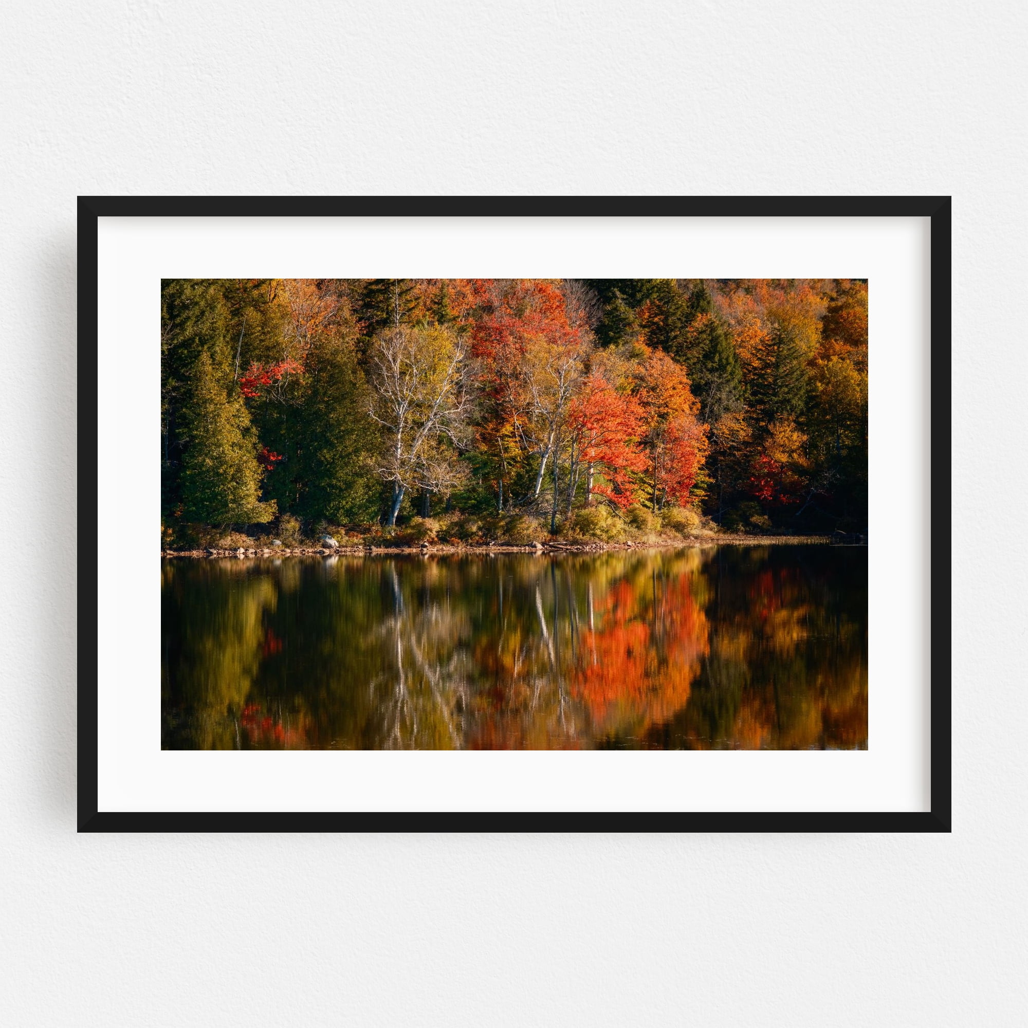 Autumn Color on Tupper Lake 01 - Tupper Lake New York Photography ...
