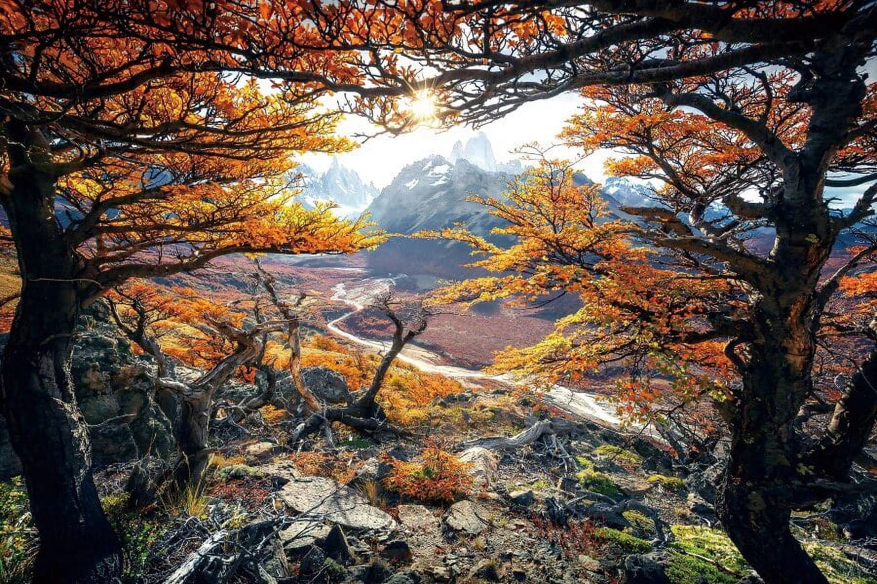 Autumn Colorado Mountain Photo Backdrop Pine Trees Forest Outdoor ...