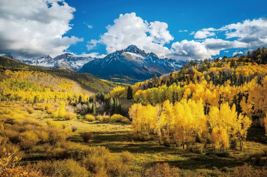 Autumn Colorado Mountain Photo Backdrop Pine Trees Forest Outdoor ...