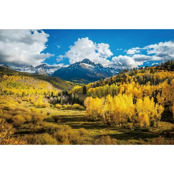 Autumn Colorado Mountain Photo Backdrop Pine Trees Forest Outdoor ...