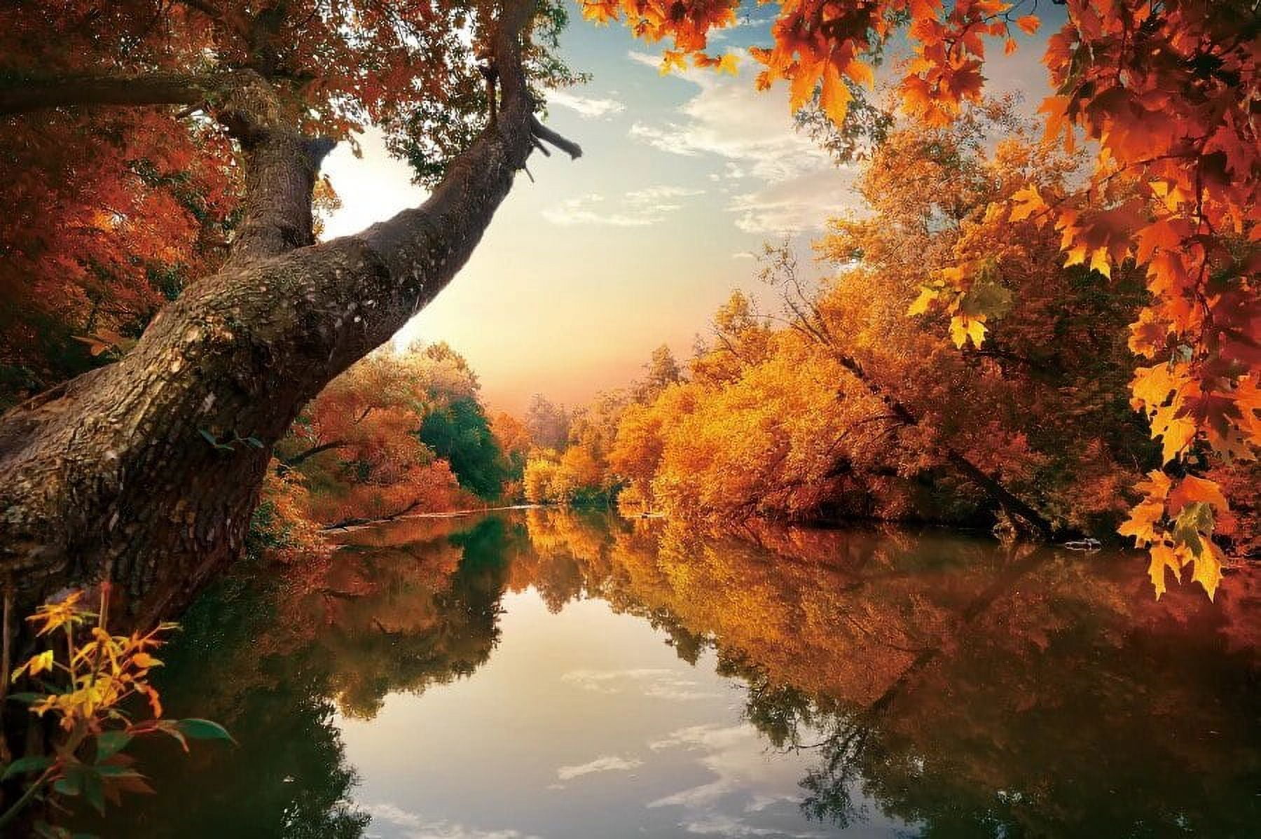 Autumn Colorado Mountain Photo Backdrop Pine Trees Forest Outdoor ...