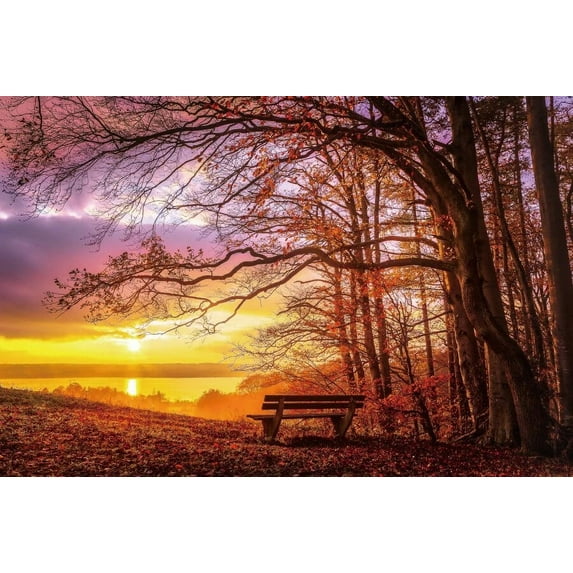 Autumn Colorado Mountain Photo Backdrop Pine Trees Forest Outdoor ...