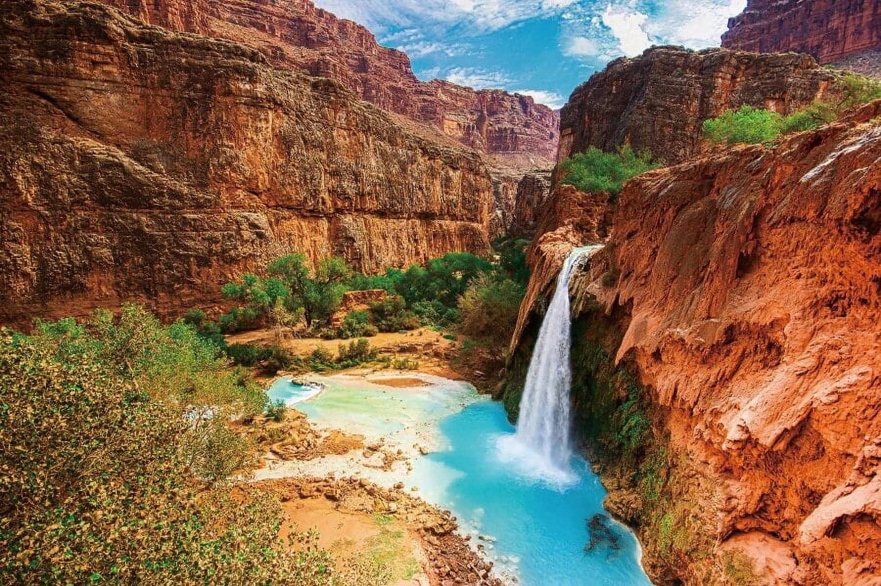 Autumn Colorado Mountain Photo Backdrop Pine Trees Forest Outdoor ...