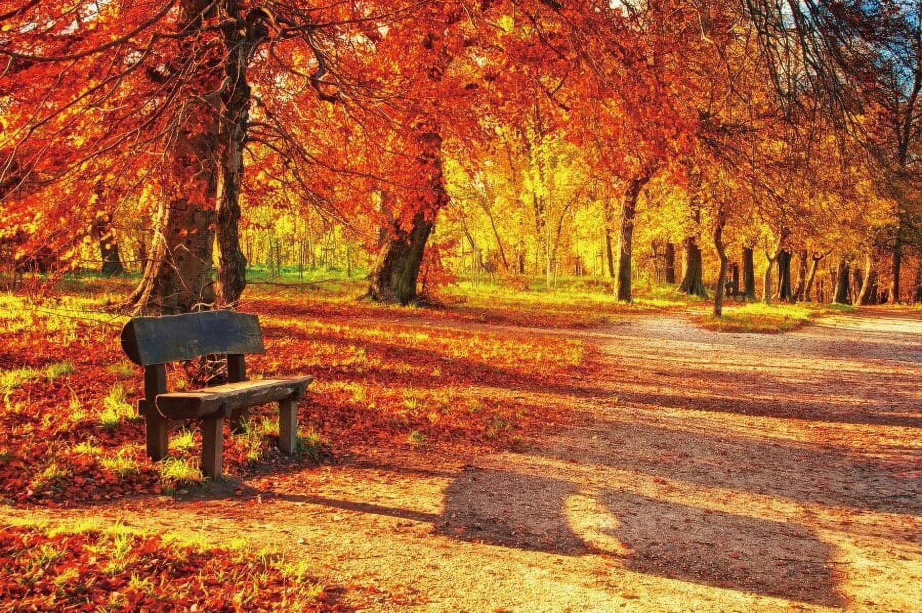 Autumn Colorado Mountain Photo Backdrop Pine Trees Forest Outdoor ...