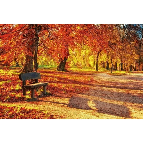 Autumn Colorado Mountain Photo Backdrop Pine Trees Forest Outdoor ...