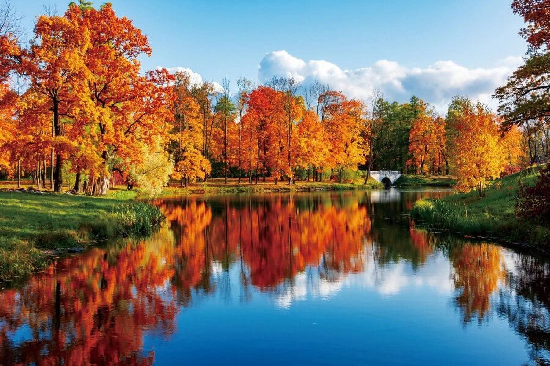 Autumn Colorado Mountain Photo Backdrop Pine Trees Forest Outdoor ...