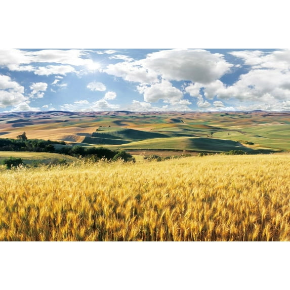 Autumn Countryside Landscape Photography Backdrop Fall Harvest Party ...