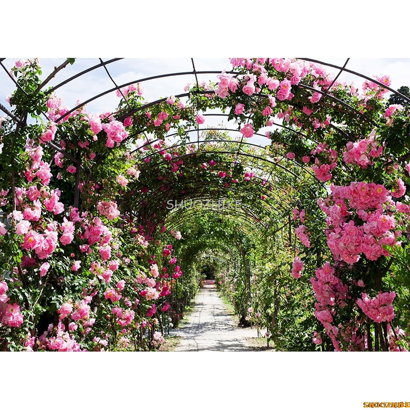 Autumn European Street Scery Photography Backdrops Props Blue Sky White ...