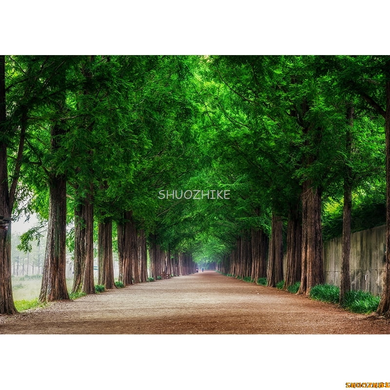 Autumn European Street Scery Photography Backdrops Props Blue Sky White ...