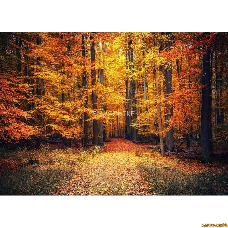 Autumn European Street Scery Photography Backdrops Props Blue Sky White ...