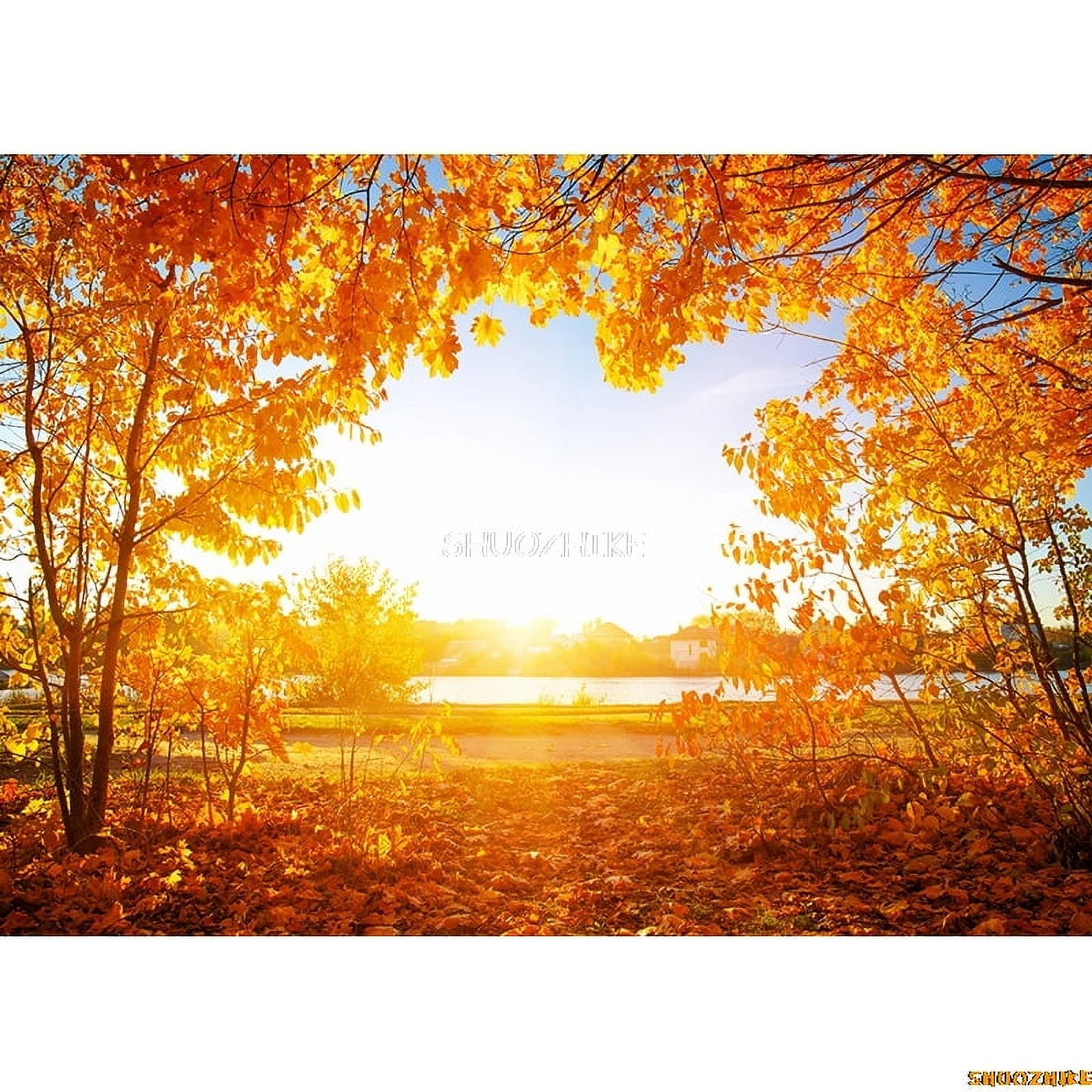 Autumn European Street Scery Photography Backdrops Props Blue Sky White ...