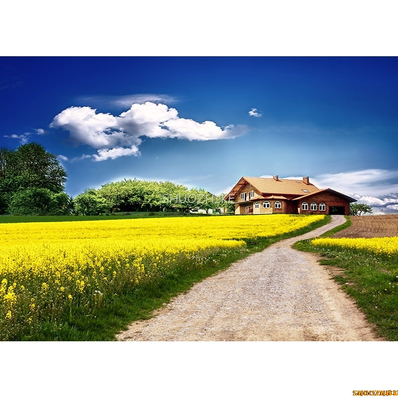 Autumn European Street Scery Photography Backdrops Props Blue Sky White ...