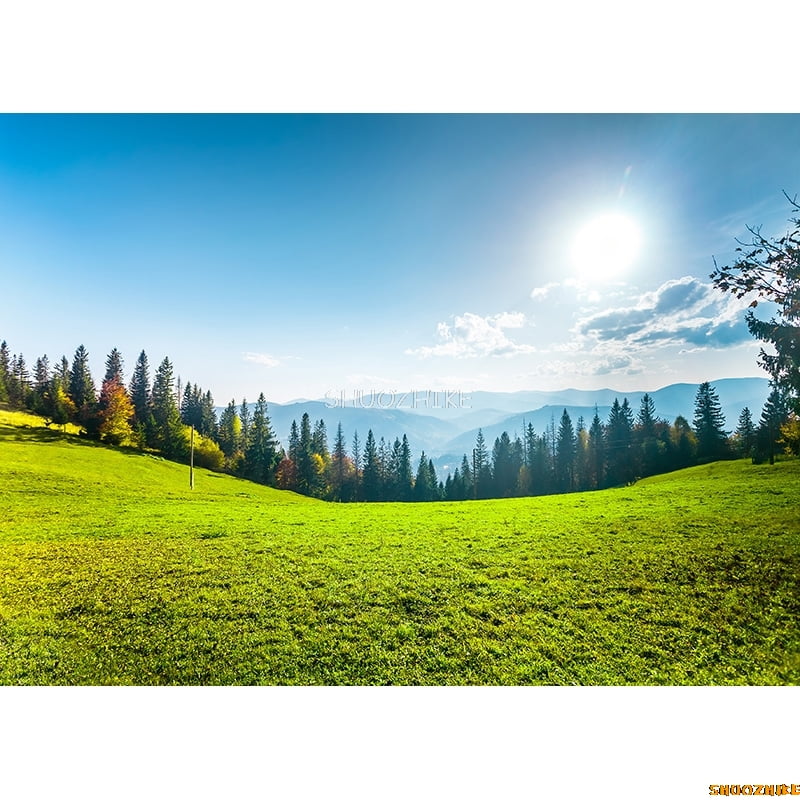 Autumn European Street Scery Photography Backdrops Props Blue Sky White ...