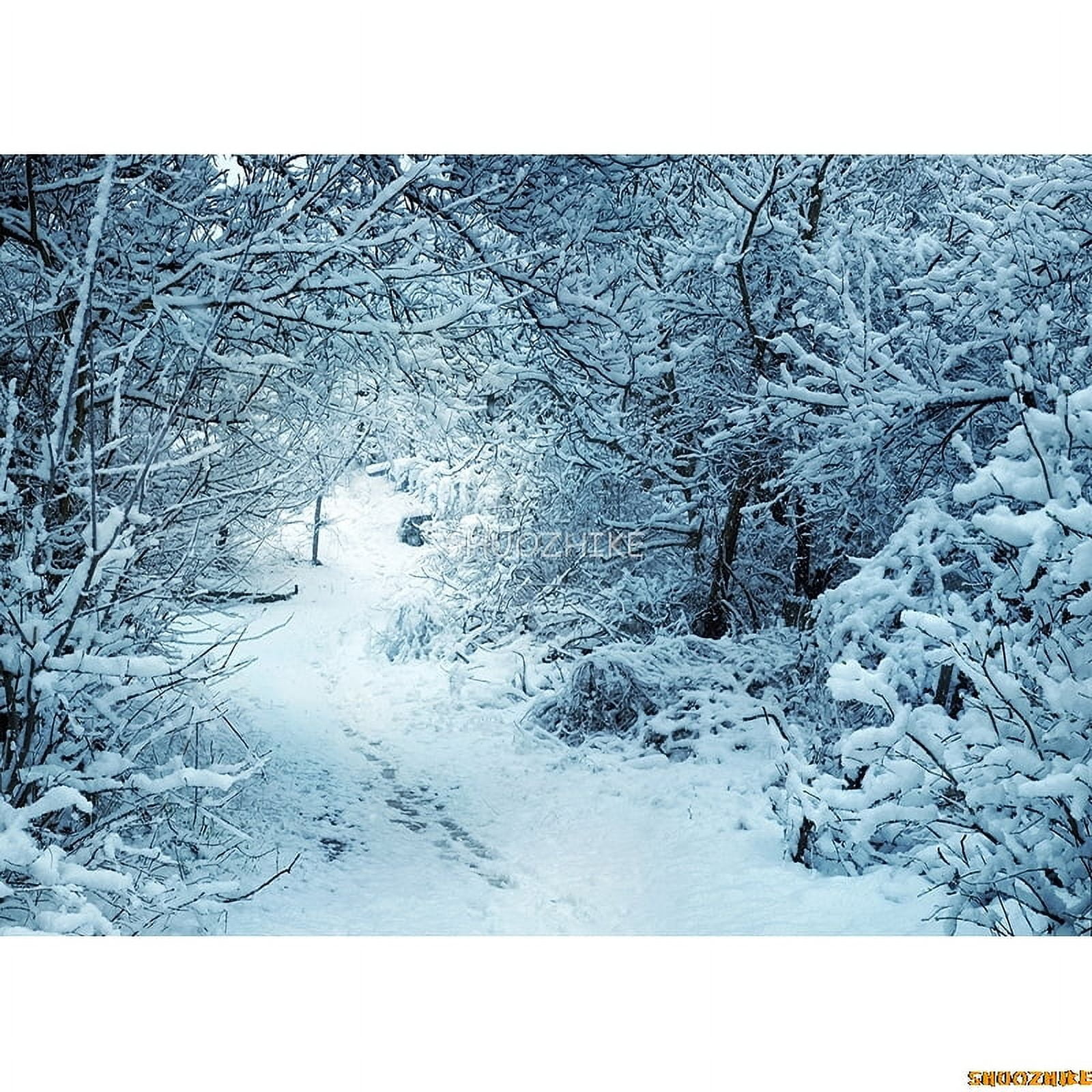 Autumn European Street Scery Photography Backdrops Props Blue Sky White ...