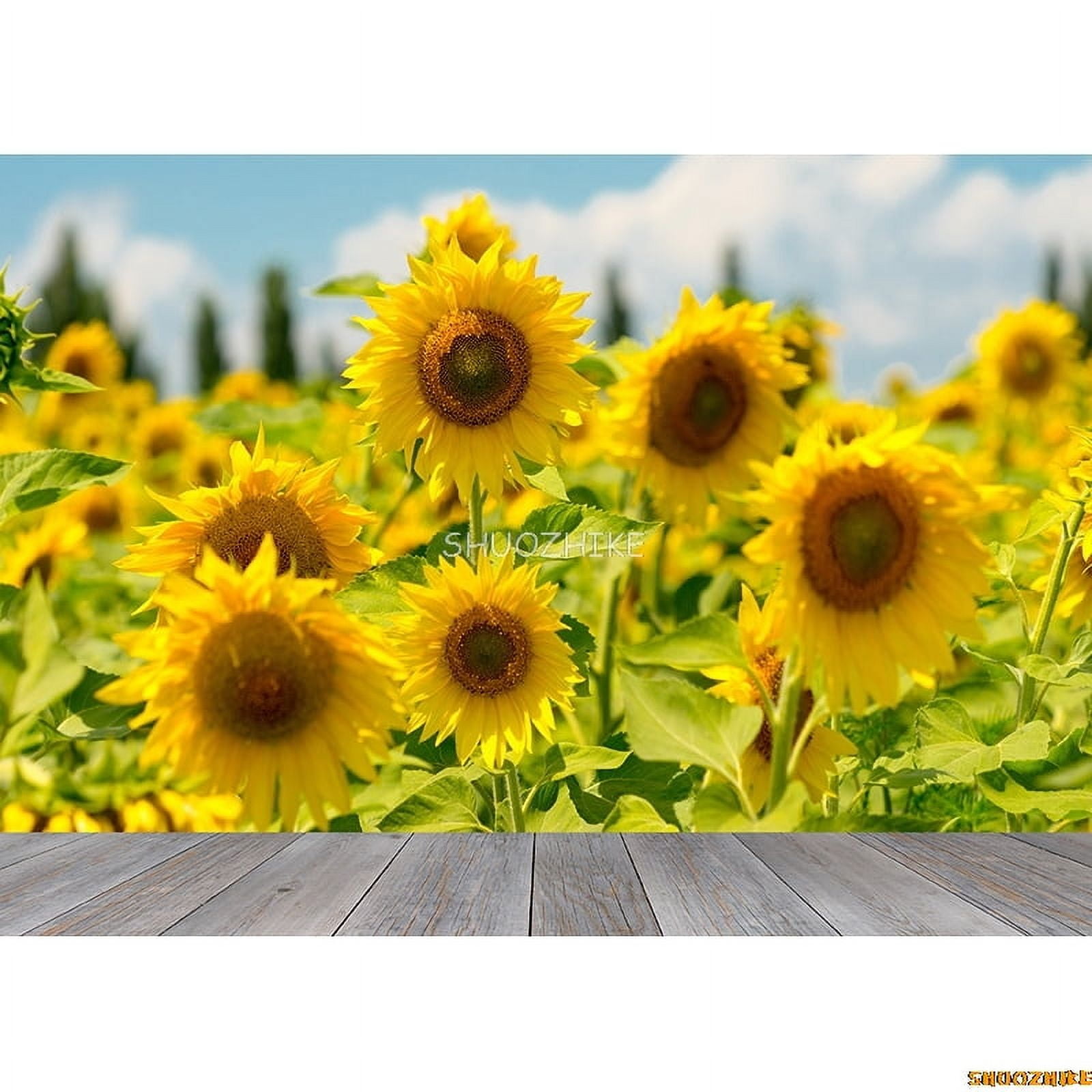 Autumn European Street Scery Photography Backdrops Props Blue Sky White ...