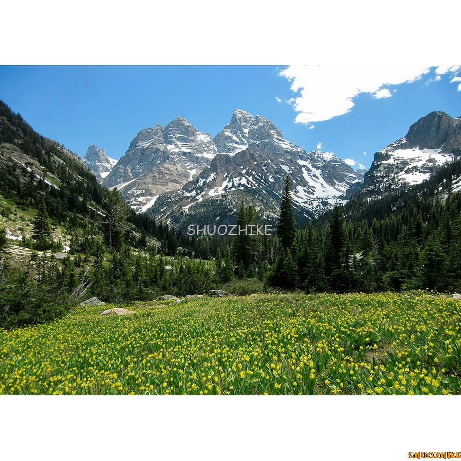 Autumn European Street Scery Photography Backdrops Props Blue Sky White ...