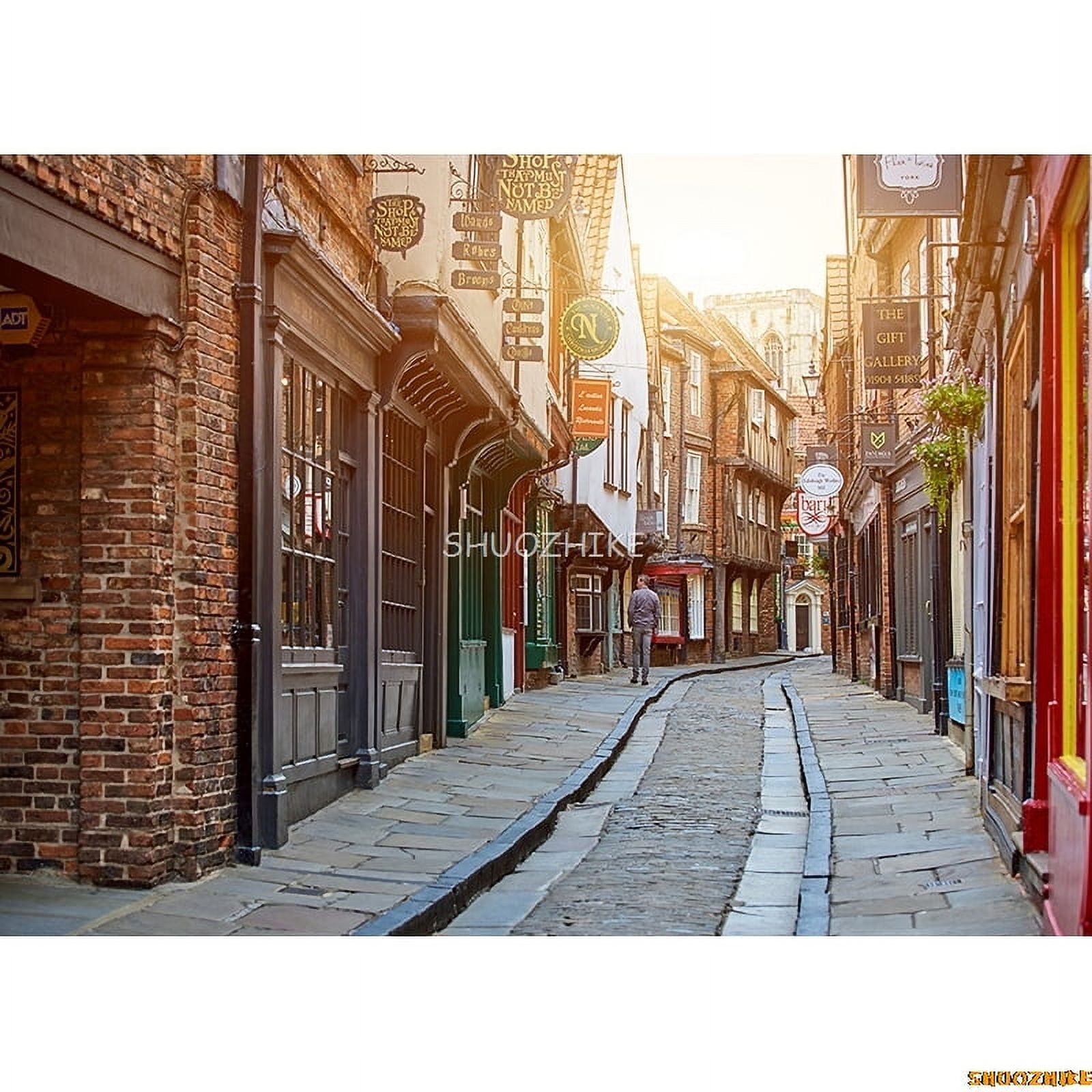 Autumn European Street Scery Photography Backdrops Props Blue Sky White ...