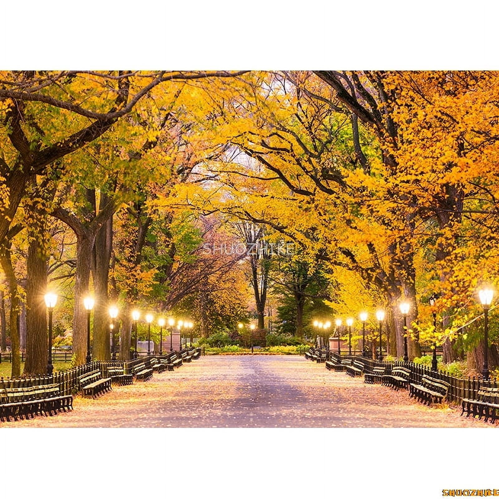 Autumn European Street Scery Photography Backdrops Props Blue Sky White ...