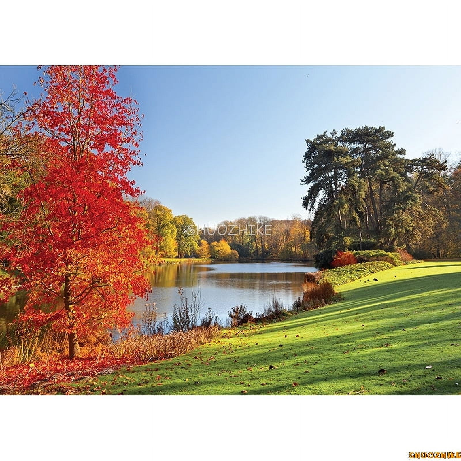 Autumn European Street Scery Photography Backdrops Props Blue Sky White ...