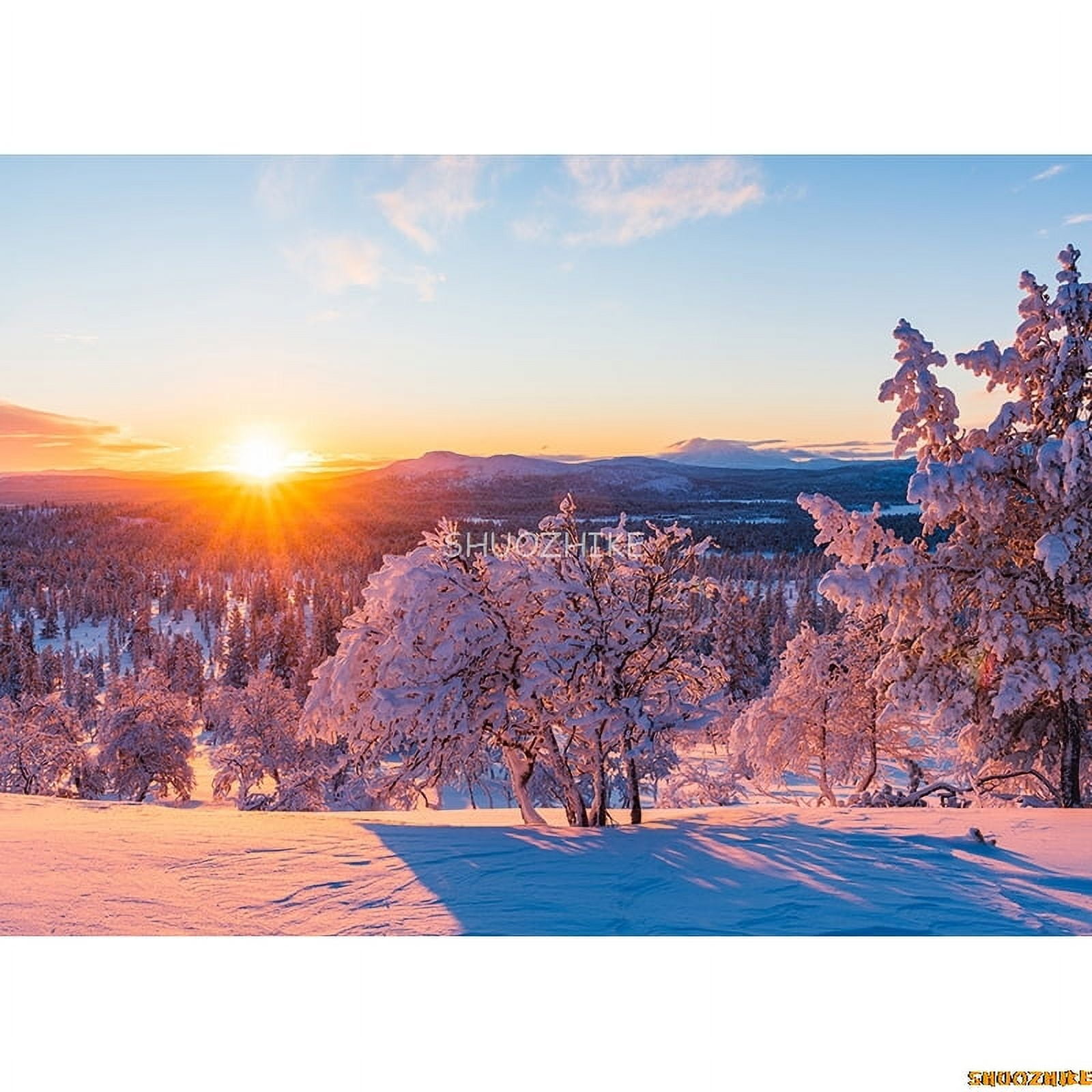Autumn European Street Scery Photography Backdrops Props Blue Sky White Cloud Nature lawn Forest ...