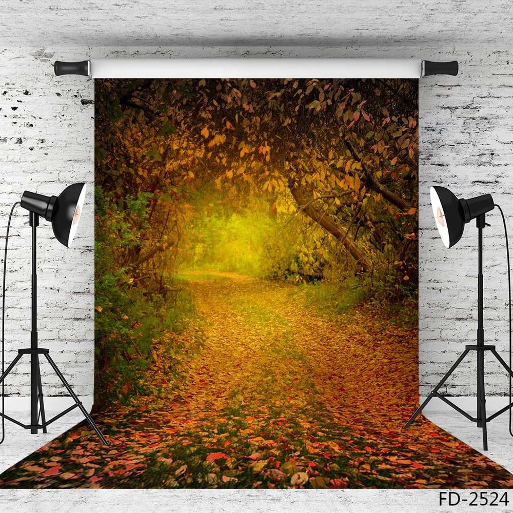 Autumn Fall Maple Forest Fallen Leaves Path Leaf Road Backdrop 3D Vinyl ...