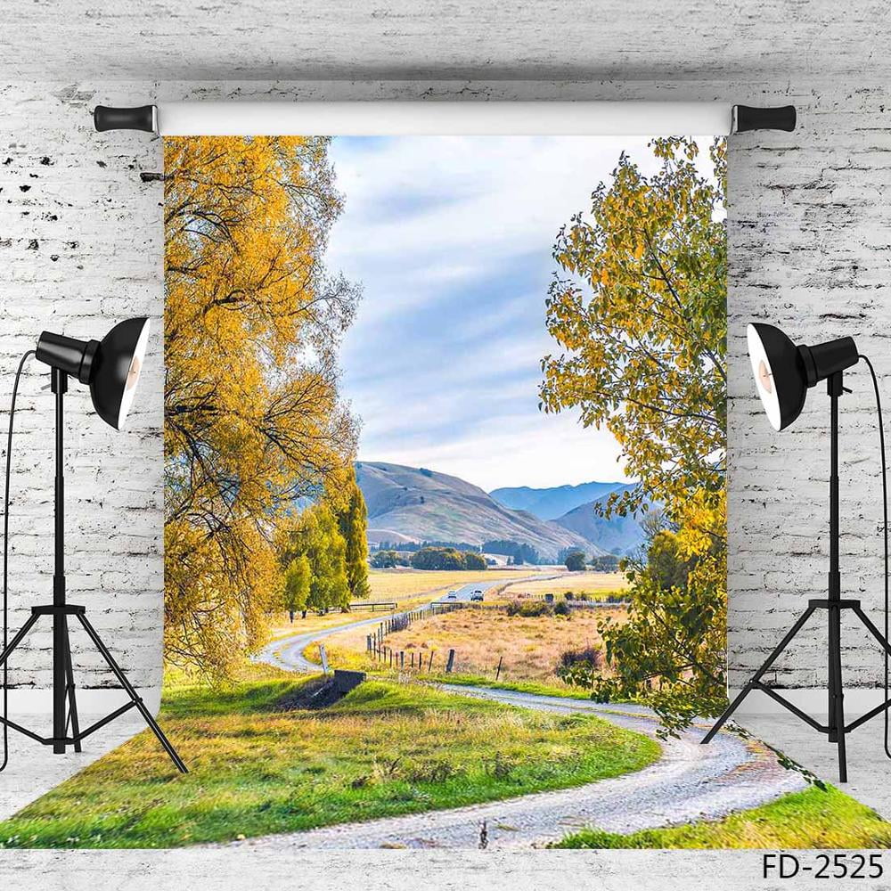 Autumn Fall Village Field Path Grass Road Sky Backdrop Vinyl Cloth ...