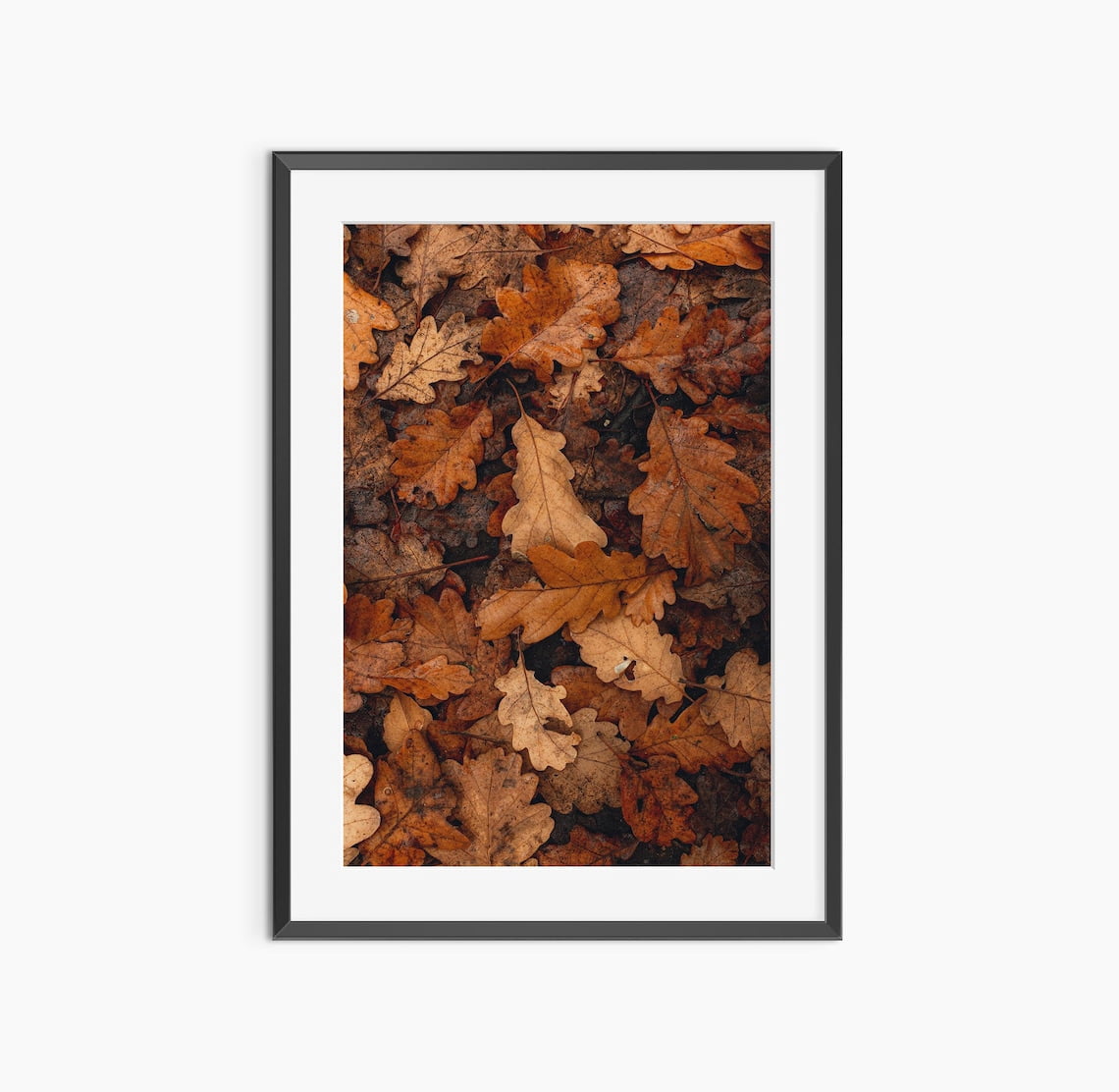 Autumn Fall Wall Art Nature Fine Art Autumn Wall Art Museum Quality ...