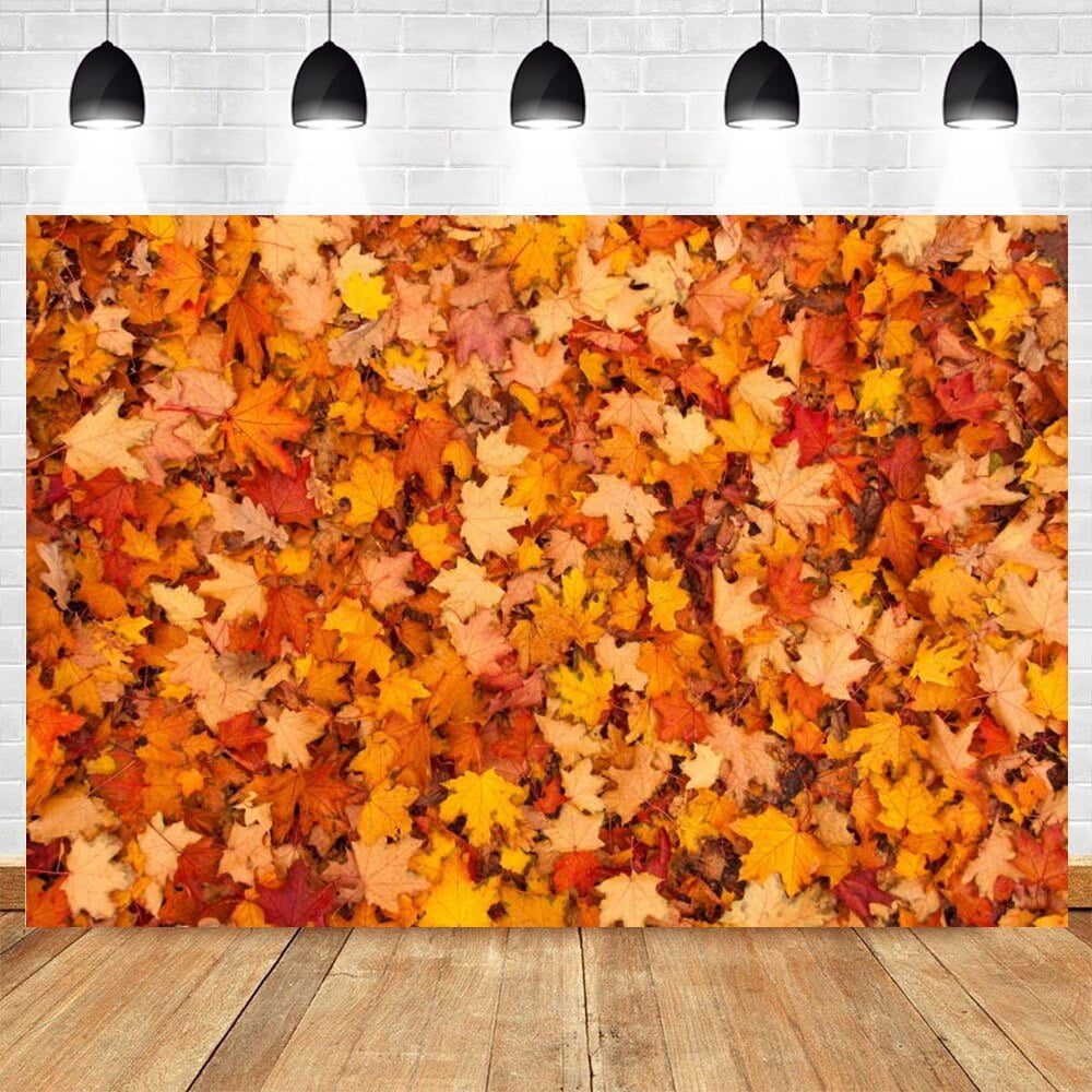 Autumn Fallen Leaves Newborn Baby Portrait Backdrop Photography ...