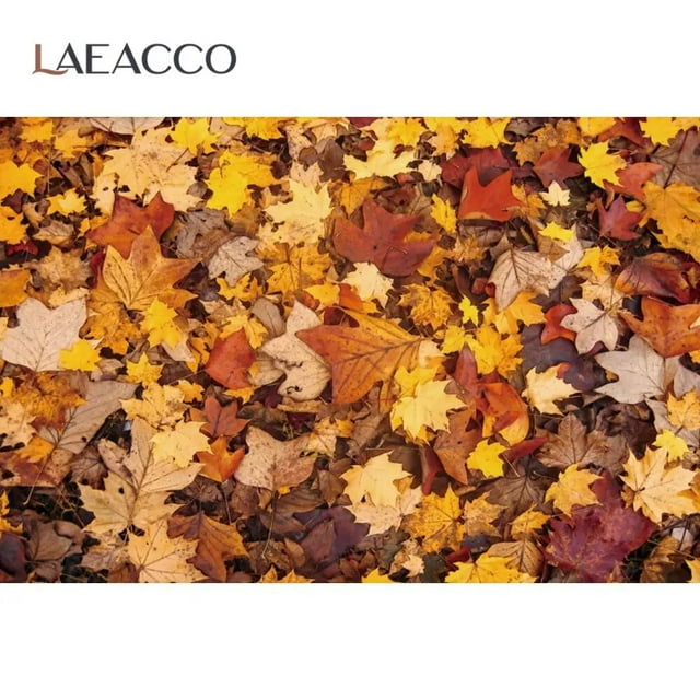 Autumn Fallen Leaves Scene Portrait Food Pet Shoot Photozone ...