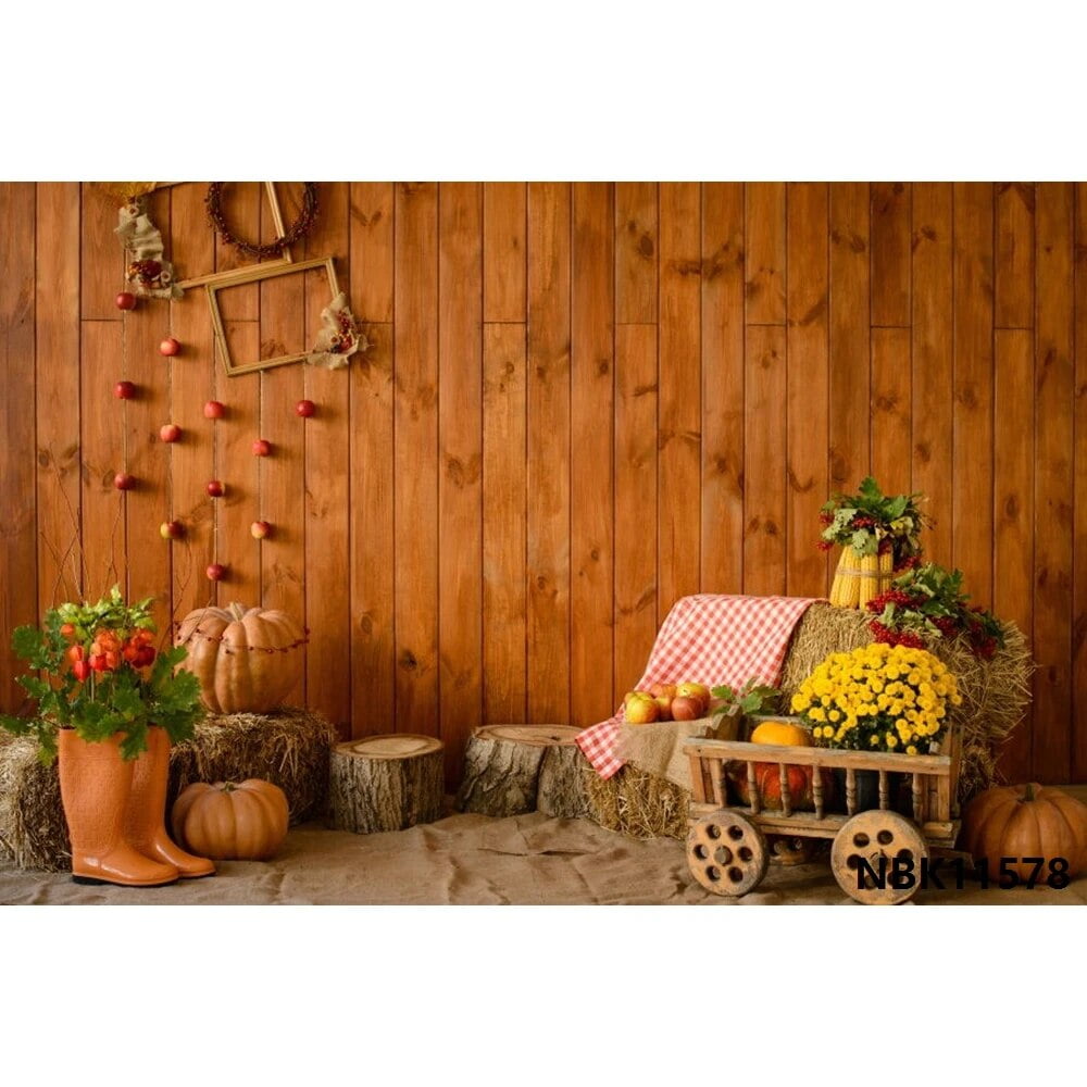 Autumn Farm Barn Hay Haystack Pumpkin Wood Floor Newborn Baby Portrait Scene Backdrop ...