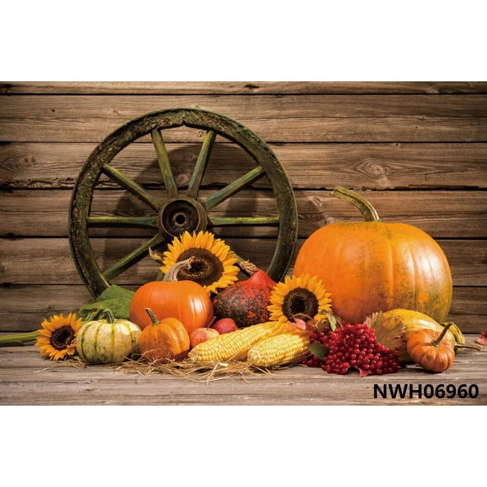 Autumn Farm Barn Hay Haystack Pumpkin Wood Floor Newborn Baby Portrait ...