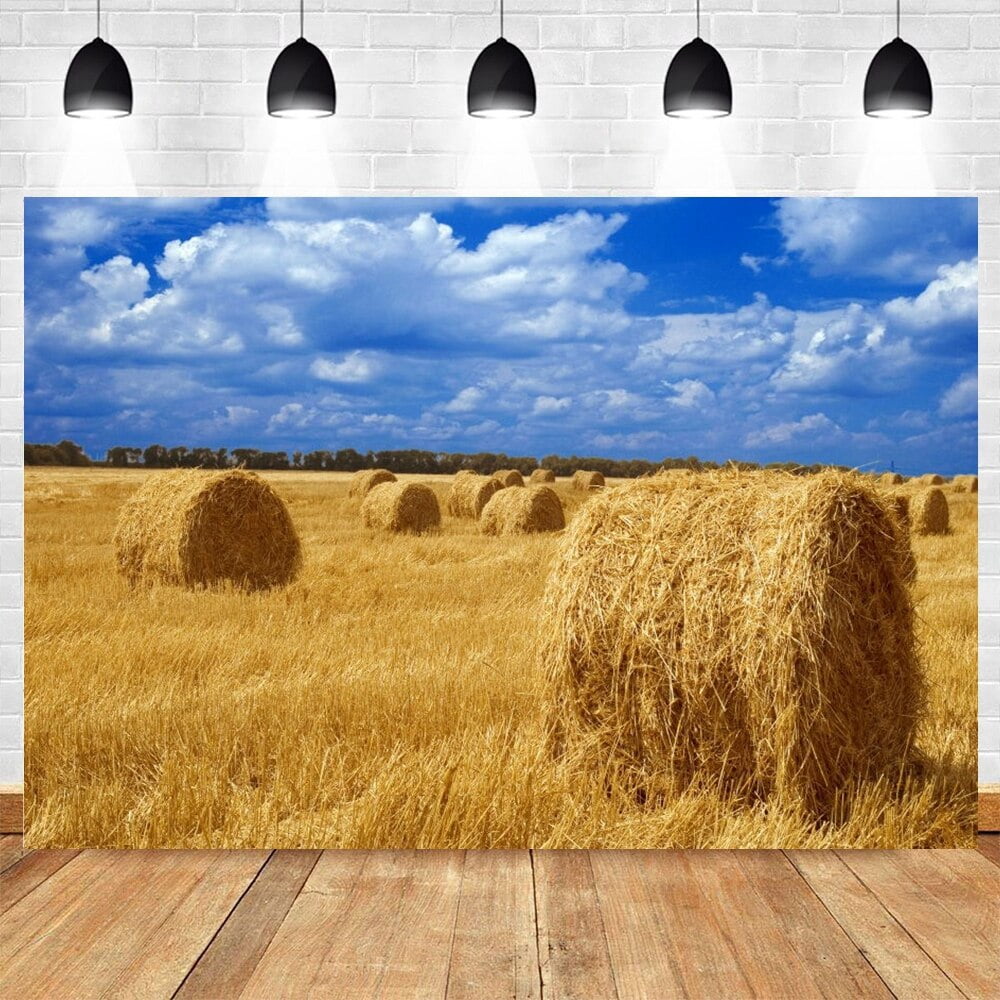 Autumn Farm Barn Haystack Warehouse Backdrop Farm West Cowboy Horse Newborn Baby Portrait ...
