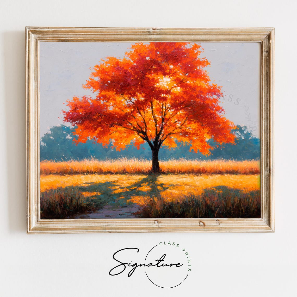 Autumn Flame-Colored Sweetgum Tree, Vibrant Fall Landscape, Rustic ...