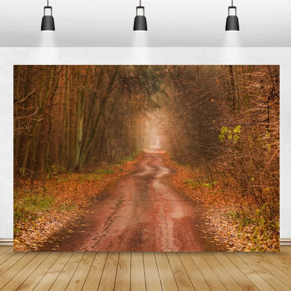 Autumn Forest Backdrop For Photography Light Bokeh Forest Path Child ...
