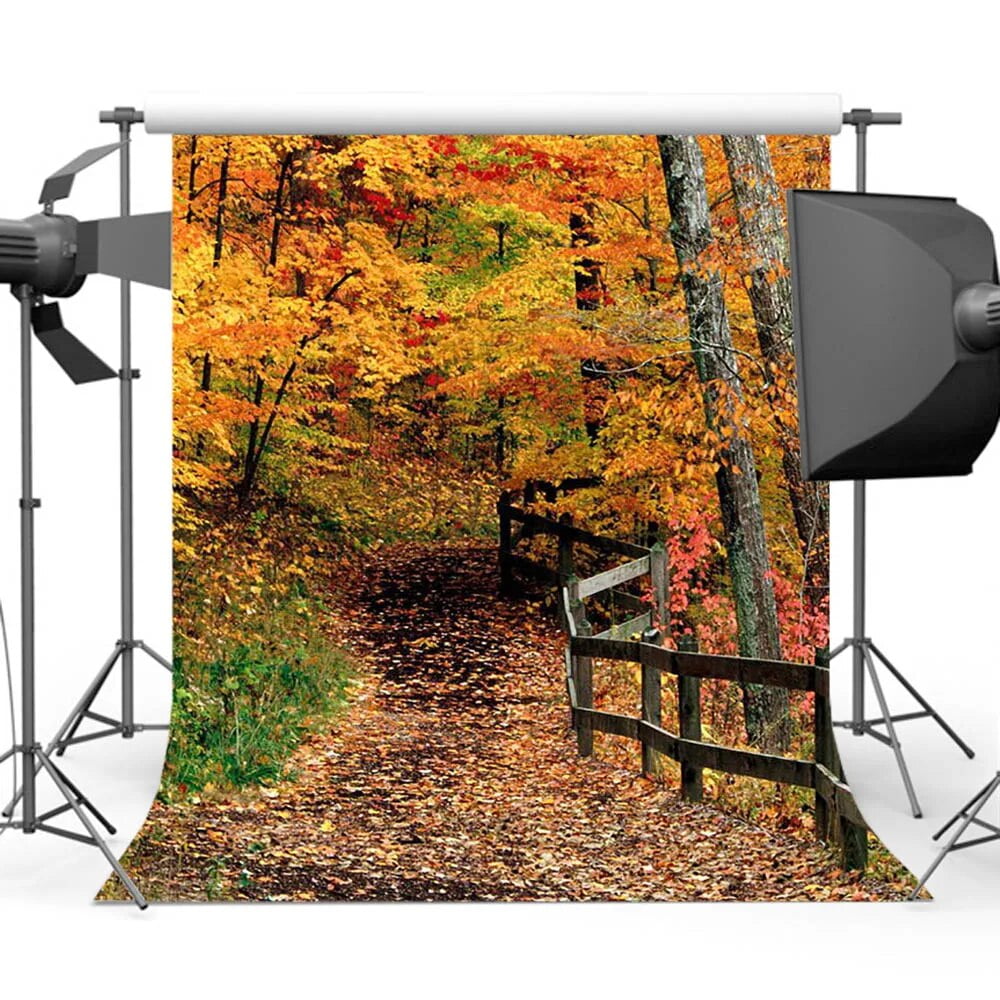 Autumn Forest Backdrop for Photography Maple Leaf Path Background for ...