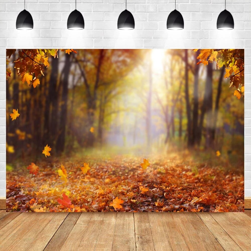 Autumn Forest Backdrops For Photography Tree Fallen Maples Dreamy Light ...