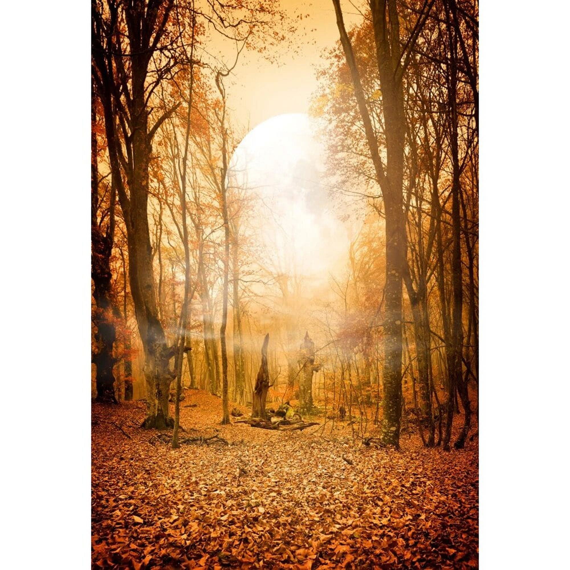 Autumn Forest Background For Photography Sun Misty =Forest Tree Portrait Shoot Photographic ...