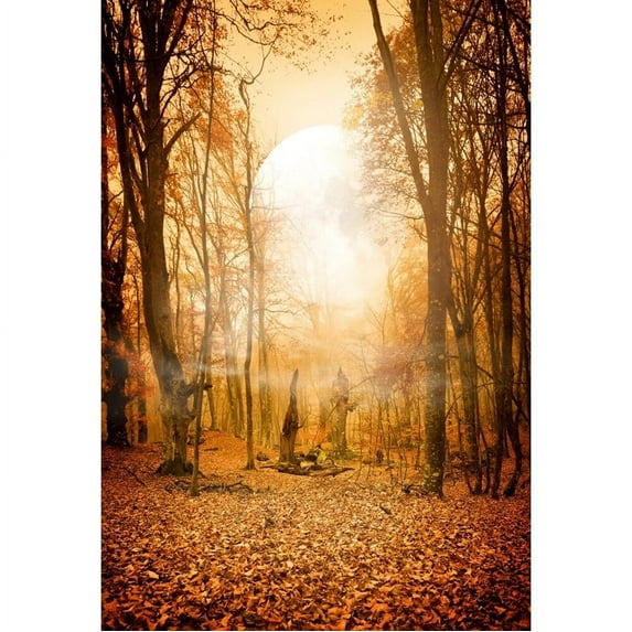 Autumn Forest Background For Photography Sun Misty =Forest Tree ...