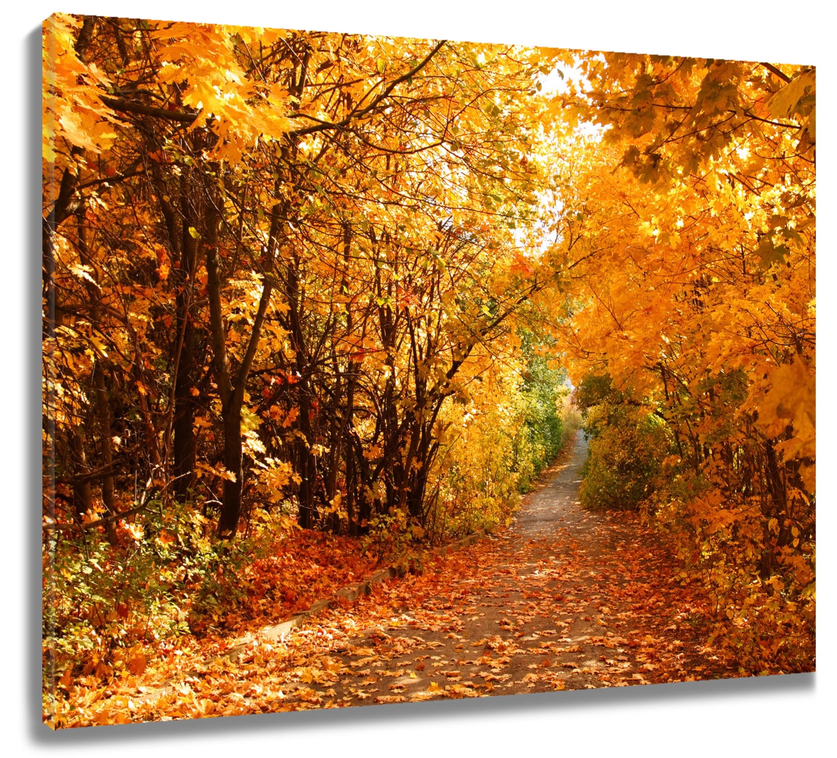 Autumn Forest Maple Leaves Canvas Wall Art Orange Fall Tree Fallen ...