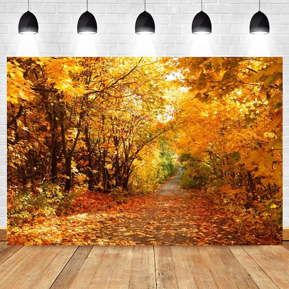 Autumn Forest Nature Scenery Backdrop Tree Fallen Leaves Sunshine Baby ...