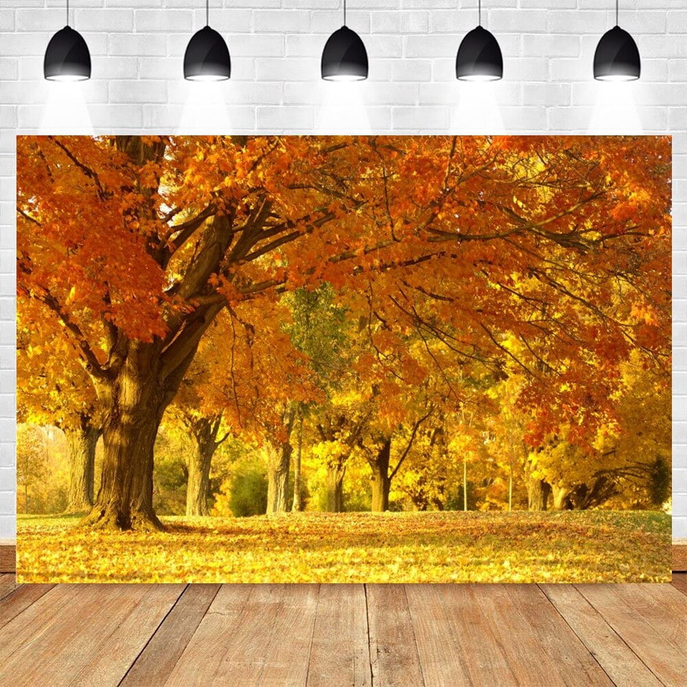 Autumn Forest Park Garden Tree Wedding Photo Background Natural Scenery ...