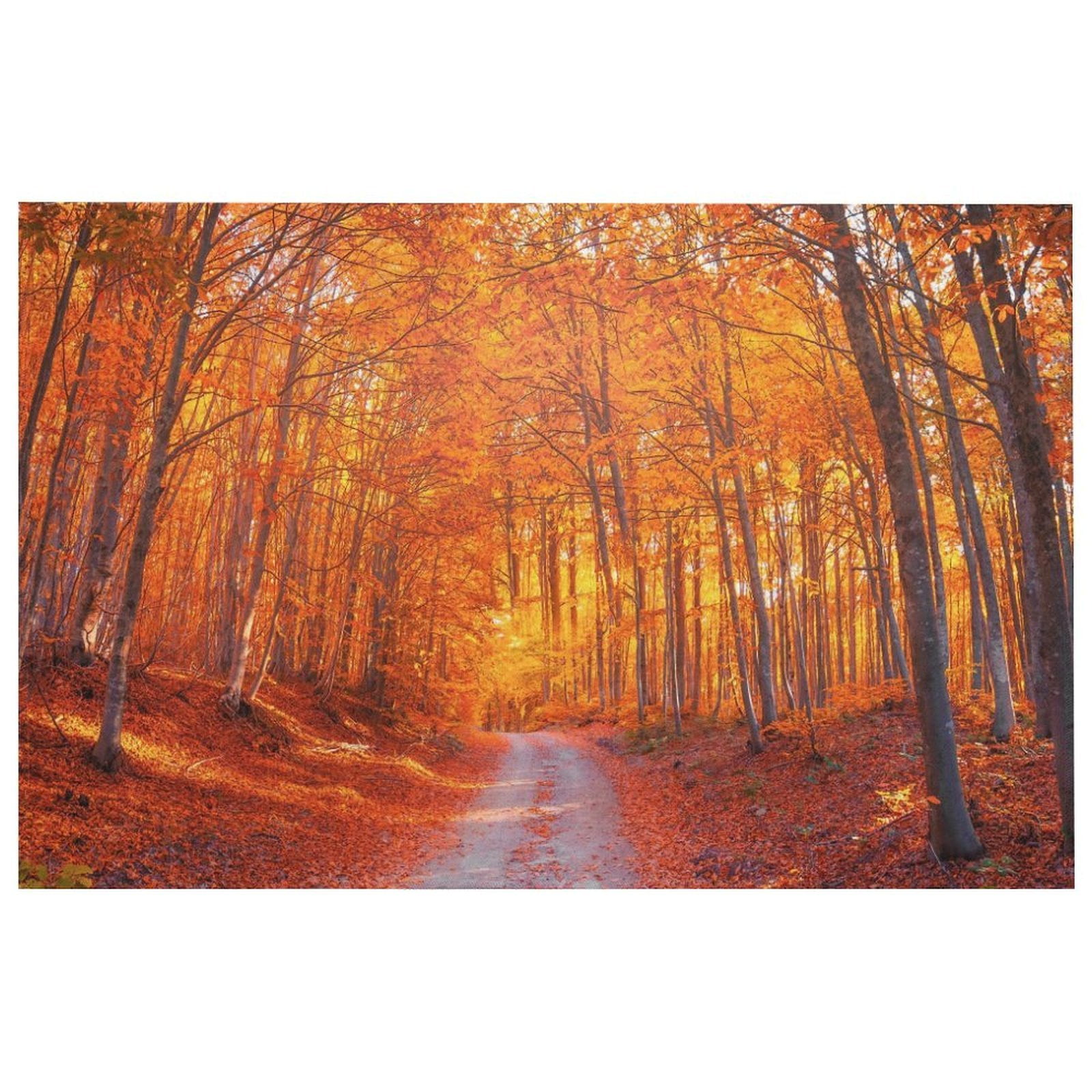 Autumn Forest Pathway Adult Home Decor Bedroom Living Room Crystal ...