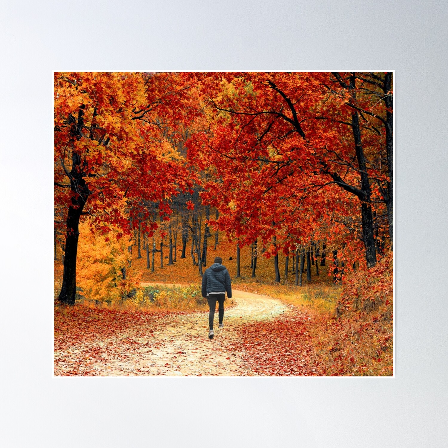 Autumn Forest Poster Wall Art, Modern Wall Decor, 24x24 UNFRAMED ...