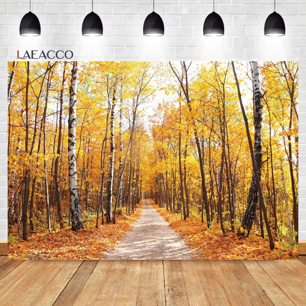 Autumn Forest Scenery Photography Backdrop Red Trees Fallen Maple ...
