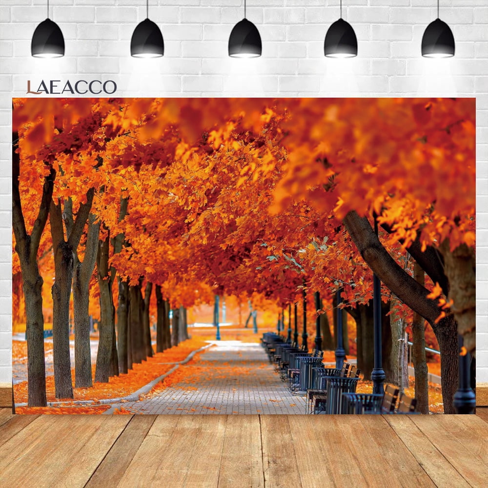 Autumn Forest Scenery Photography Backdrop Red Trees Fallen Maple ...