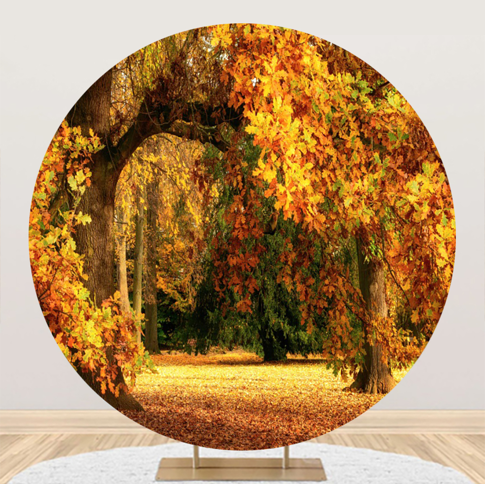 Autumn Forest Scenery Round Backdrop Golden Maple Leaves Path ...
